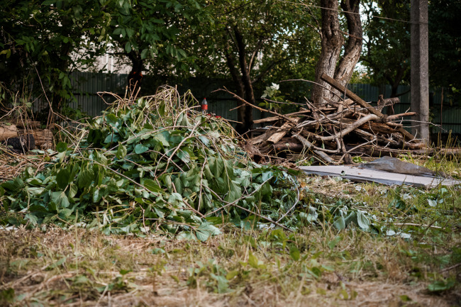 Four Reasons Tree Debris Cleanup Is So Important | Holland's Tree Service