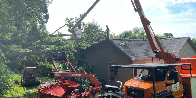 Tree Companies, Western North Carolina | Holland's Tree Service